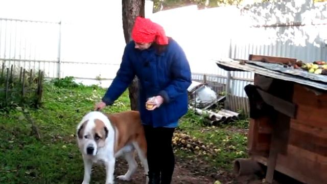 В телогреечке на даче