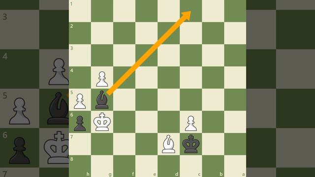 Разноцветные слоны в эндшпиле