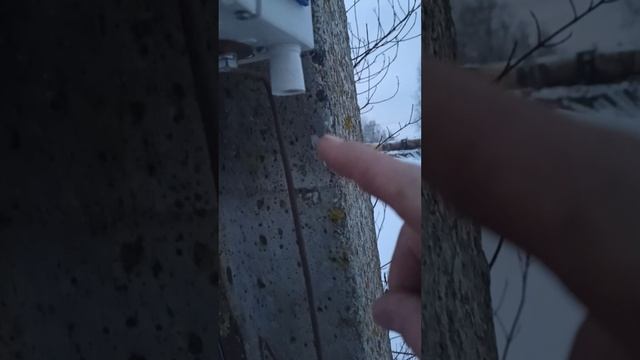 Подключение вводного кабеля к щиту учета #shorts