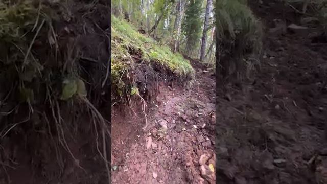 Компактный погрузчик