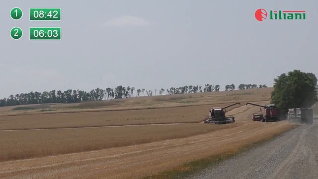 Безостановочная уборка зерна с бункером-перегрузчиком в ООО АГРОФИРМА АГРОСАХАР. Ставропольский край