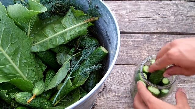 Очень вкусные маринованные огурчики на зиму