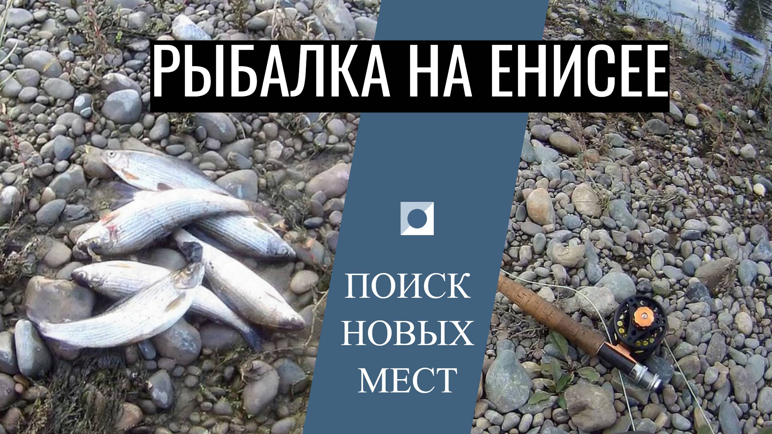 Рыбалка на Енисее. Поиск новых мест. Смелые косули (архив)