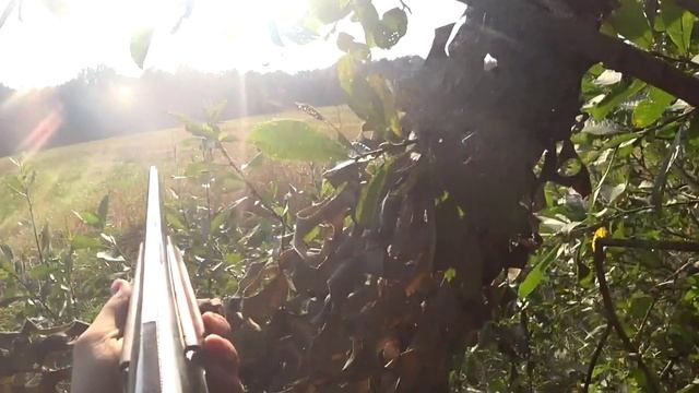 ОХОТА НА ВЯХИРЯ. ЗАКРЫТИЕ ПО ПЕРУ