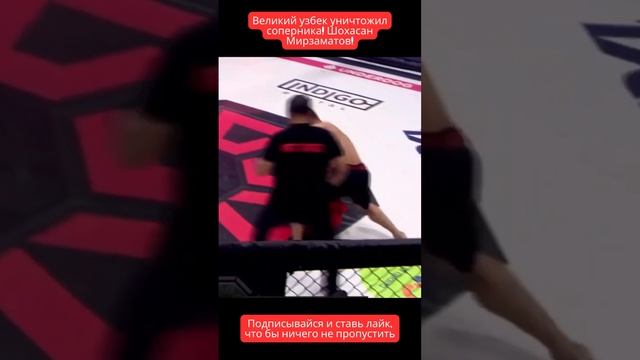 Великий узбек уработал соперника! Шохасан Мирзаматов #fight #mma #popmma #reels #ufc #ufc4