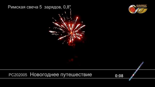 РС202005 Новогоднее путешествие