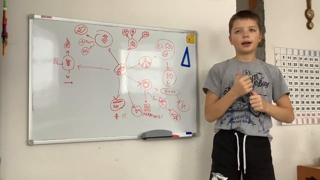 Видеоурок 1. Древние люди и их стоянки