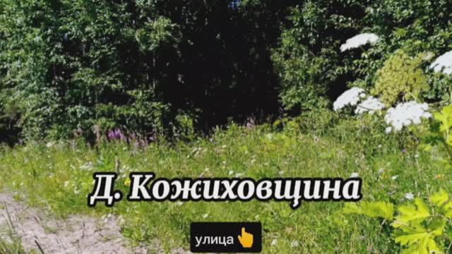 Деревня Кожиховщина.mp4