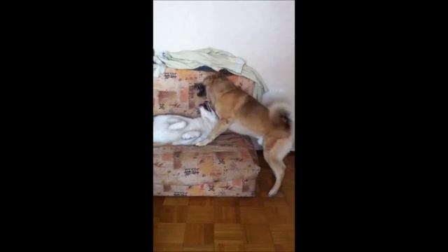 Игры-жралки на диване