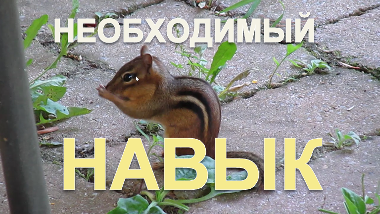 Навык, который необходимо каждому довести до совершенства (т.е. до автоматизма)