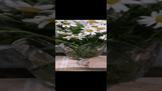 Сырный супчик
