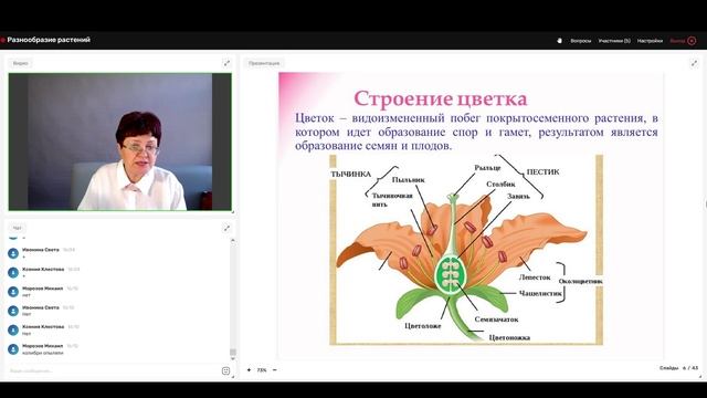 Генеративные части цветковых растений. 16 мая 2022