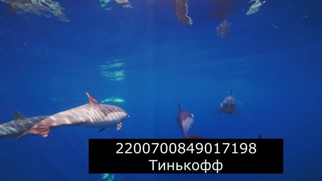 Мошенница с госуслуг и прочие проходимцы/разговоры с мошенниками