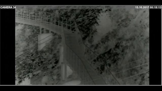 Леопард снова пришел на Зарамагскую ГЭС