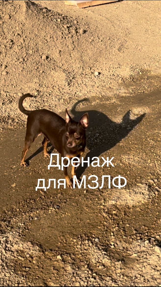 Как песчаная подушка под фундамент может превратиться в болото. Дренажная система