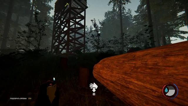 forest постройка хижины