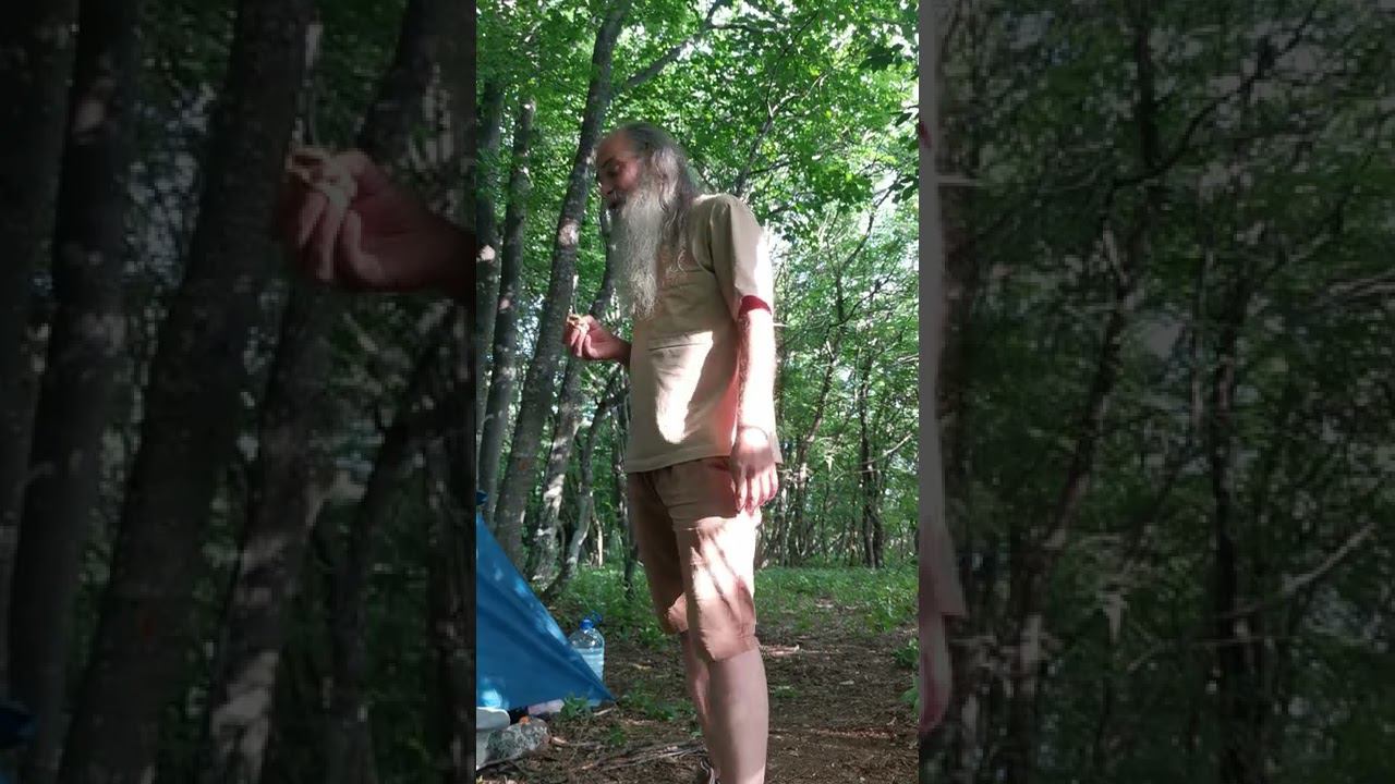 ЛАД  Сказ  Великий переход  То самое Световое существо