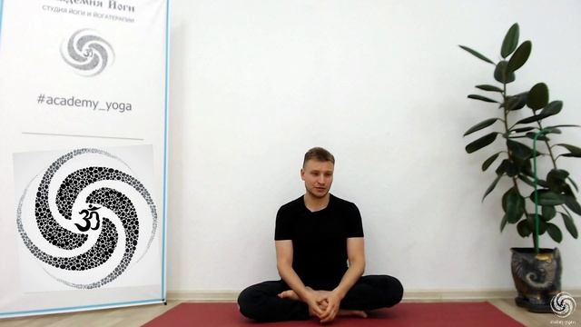 Философия йоги. Коты и заборы