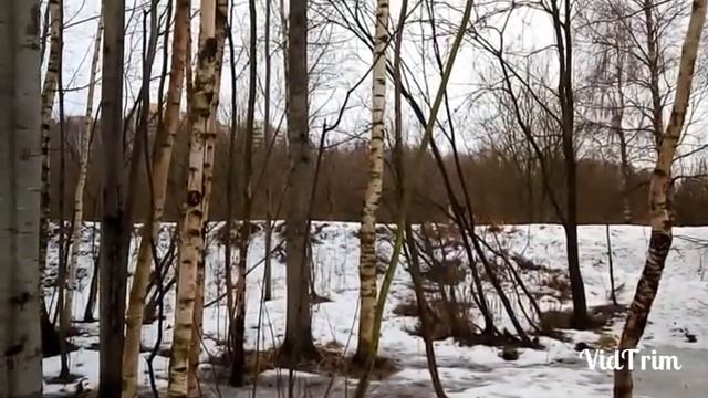 Прогулка с собакой Айкой ..mp4