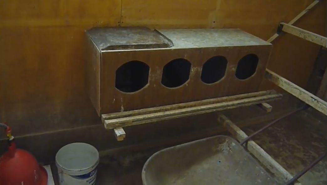 Курятник зимний для кур гнездо с яйцесборником сделать самому видео