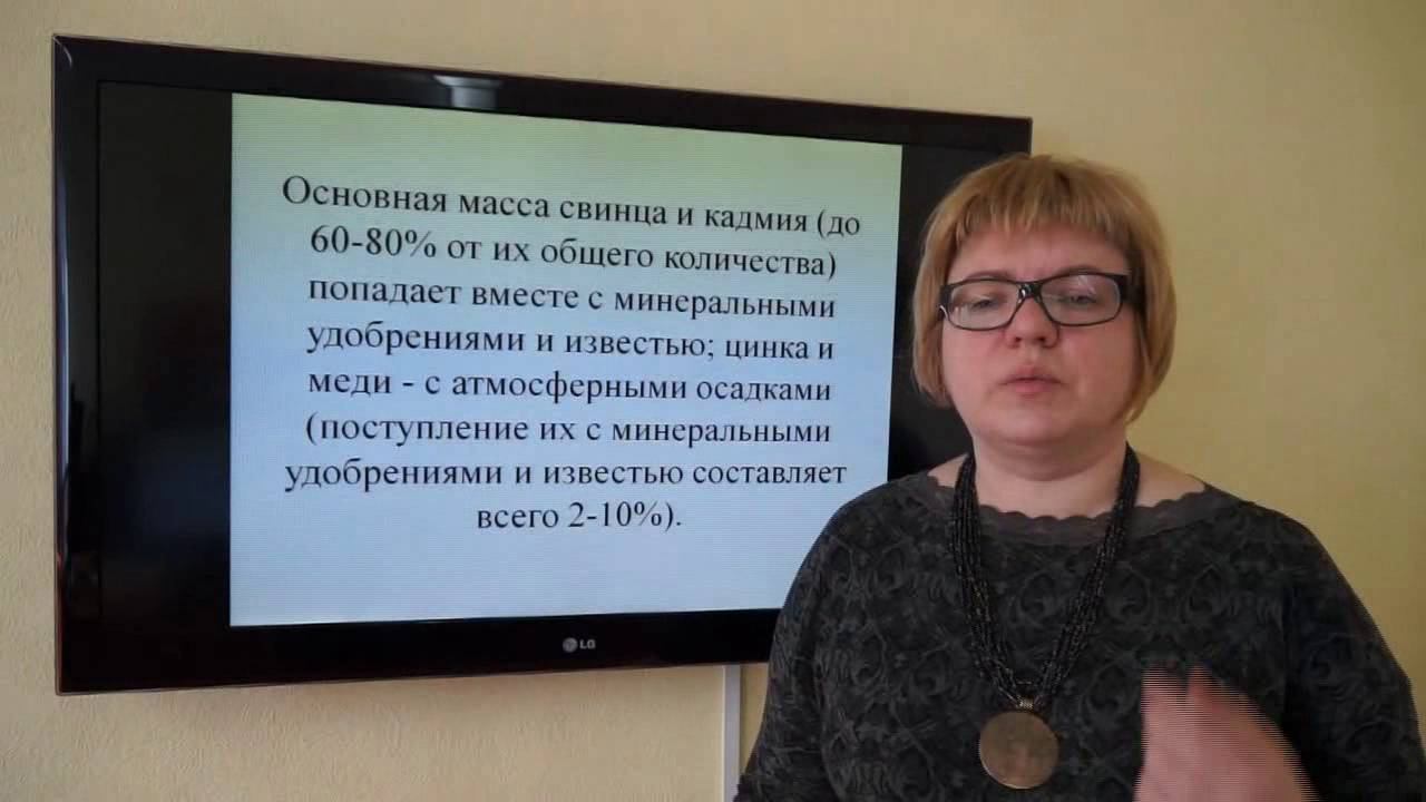 Жирнова Д.Ф. Тяжелые металлы в агросфере