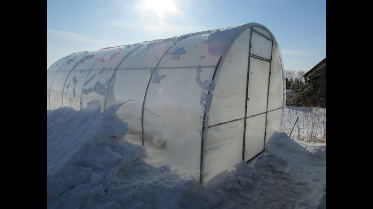 СИДЕРАТЫ И СНЕГ ВПОЛНЕ СОВМЕСТИМЫ!!!