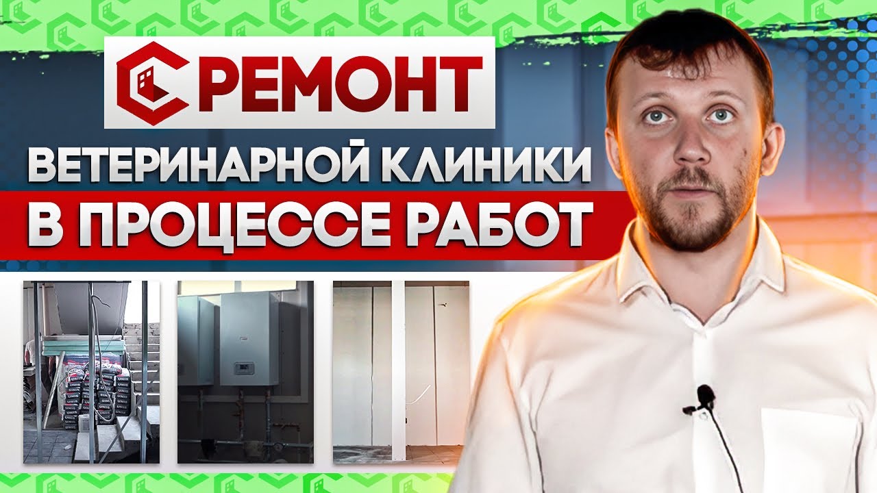 Ремонт ветеринарной клиники в процессе работ