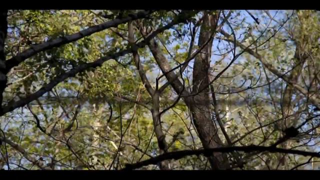 CANON EOS 600D kit 18-135 IS mm ( 1 час за 6 секунд) Тестовый