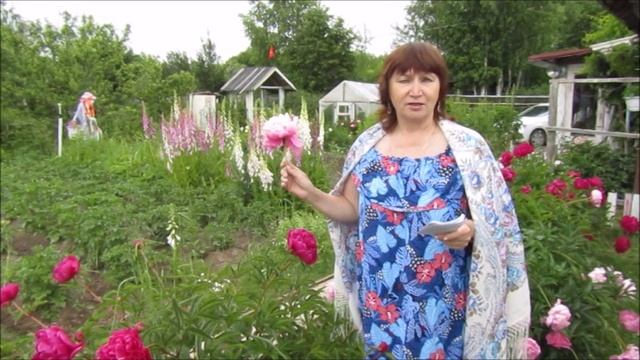 Тополиный пух летит. Юдит Бенье. Перевод Г.Этэгэн. Любите, спите, наслаждайтесь жизнью.