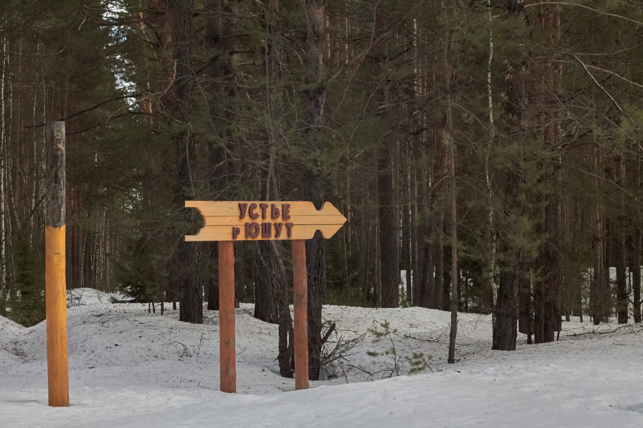 Ранняя весна в Марий Чодре - птицы, лоси и родники