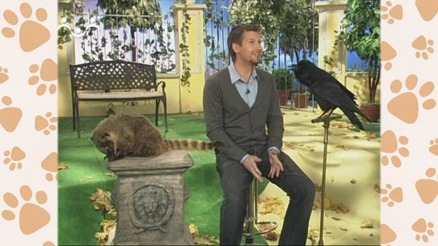 Лапы, крылья и хвосты. 25-й Выпуск. Про овощи и фрукты