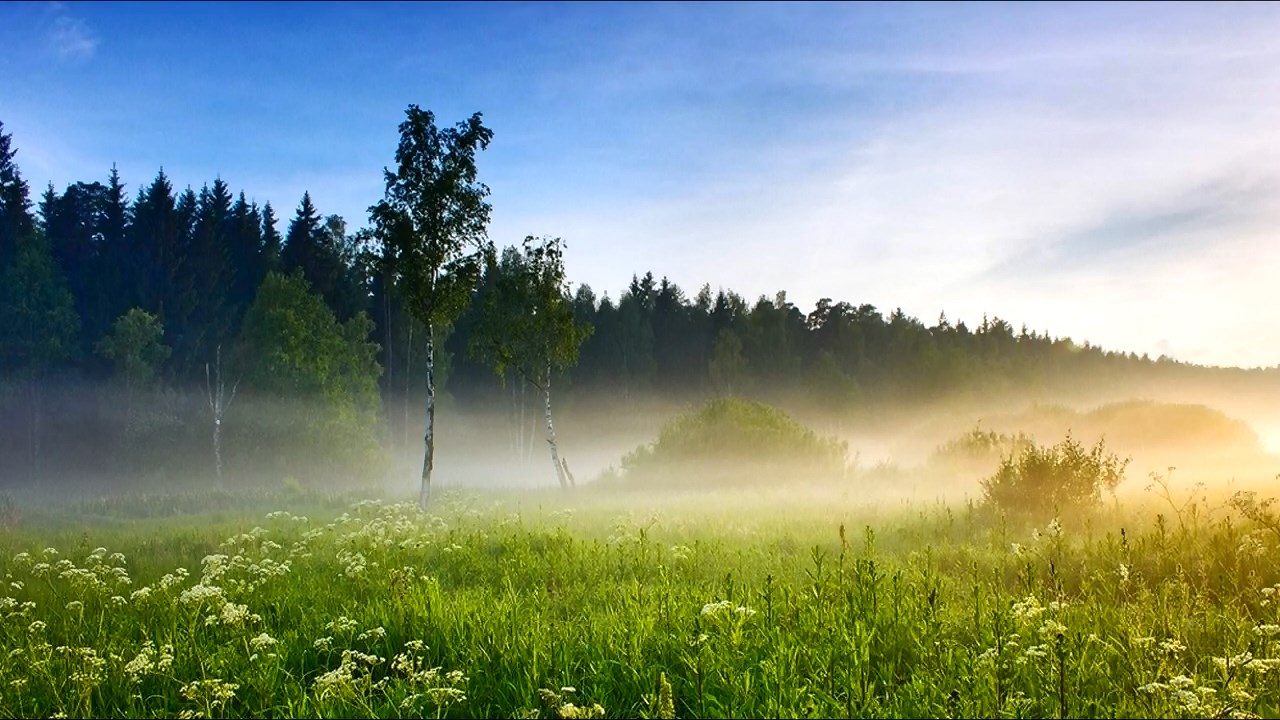 Память Глубины: 1. Утро.mp4