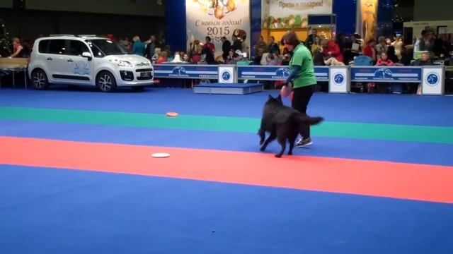 Показательные выступления - Людмила и Джек.mp4