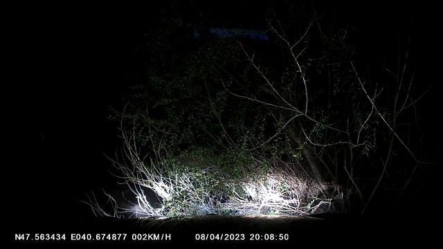 Как не надо засаживать машину. Часть 8. Свобода...