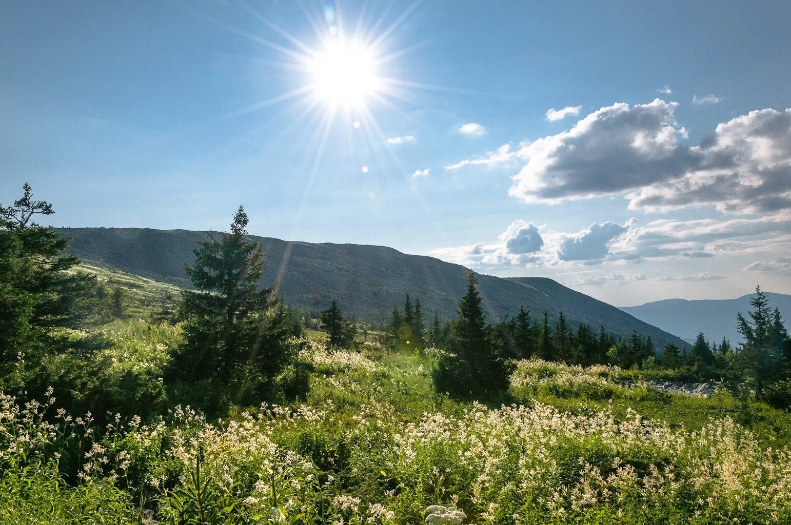 Как дедушка с бабушкой развлекают внуков.
