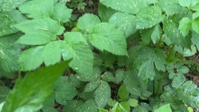 #побежали 21.05.2023 #делюсьпозитивом