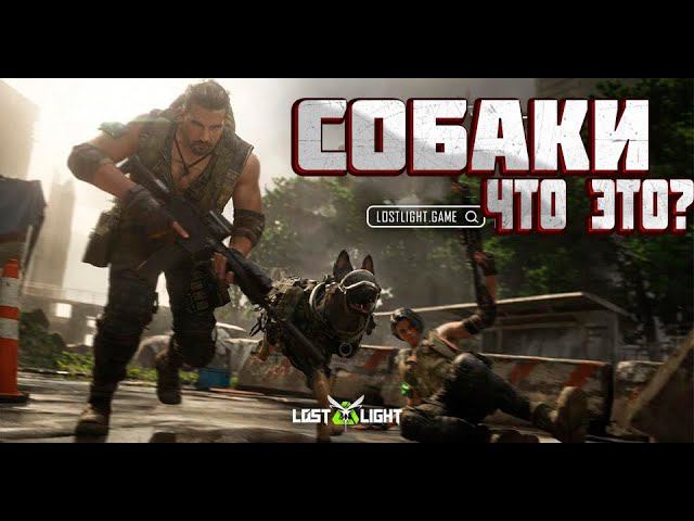 ОБНОВЛЕНИЕ В Lost Light - ЗАЧЕМ НУЖНЫ СОБАКИ | ФУНКЦИОНАЛ СОБАК | Лост Лайт.