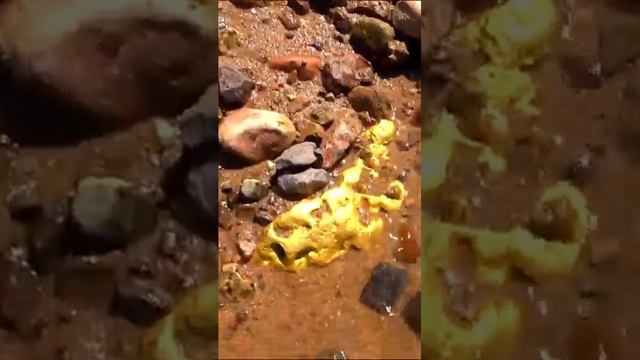 Скромные знаки золота! 😮