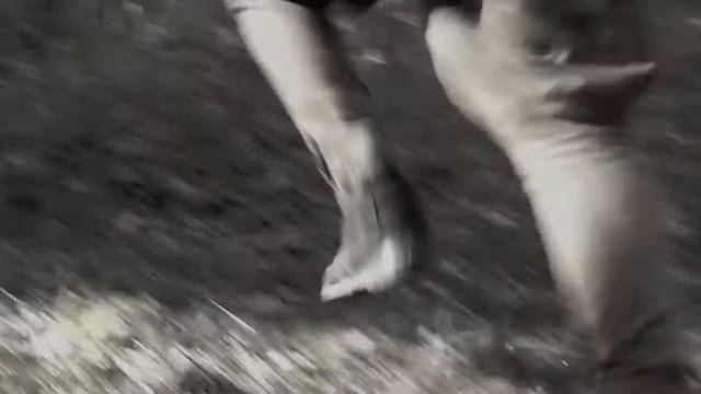 ＂Память войны＂