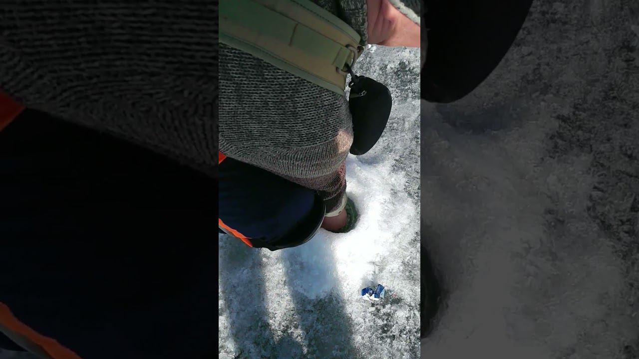 отпускайте рыбу