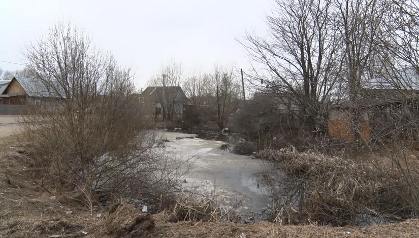 Превратится пруд в оазис