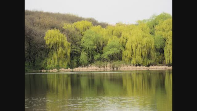 ДЗТМ-Точмаш - Путиловская роща-субботник (04.2008)