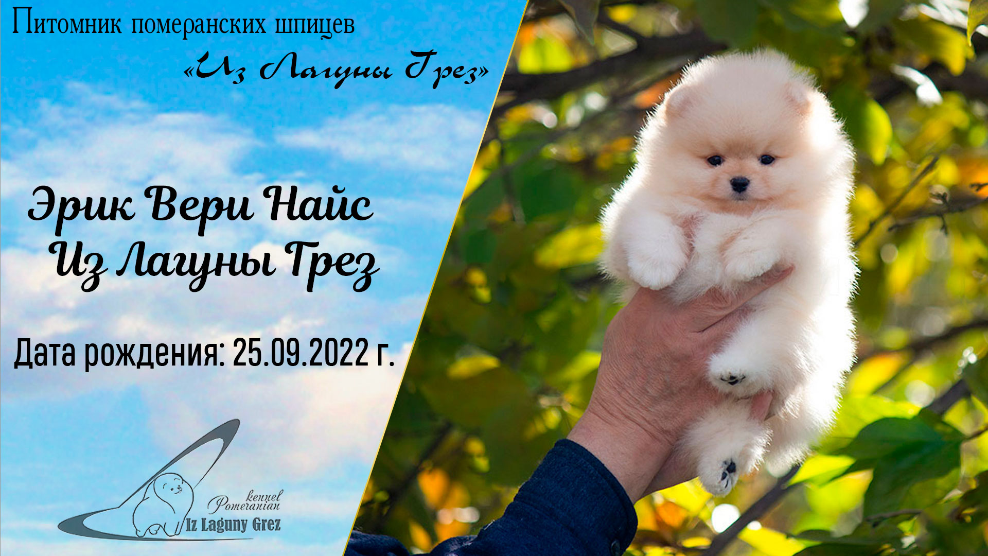 Эрик Вери Найс Из Лагуны Грез