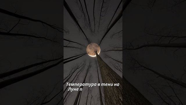 Луна 🌒 ❄