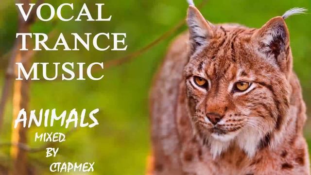 Vocal Trance_ Uplifting Trance_Progressive Trance - Animals mixed by CTAPMEX.mp4