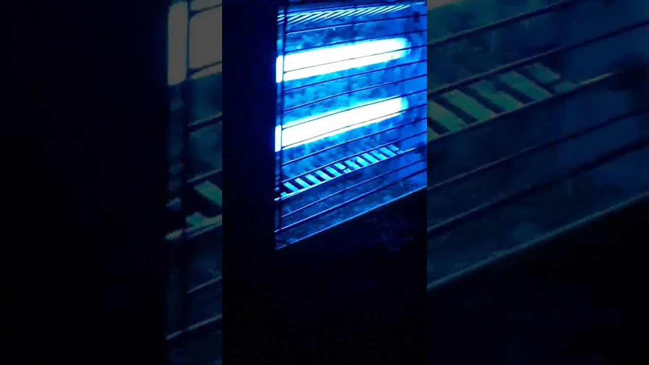 Комариный беспредел