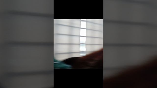 EN FAMILIA EN RESTAURANT dESPIdIENdO Á MÍ HERMANA AMAR SILVANNA SE VA Á ESPAÑA d REGRESO