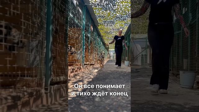 Он никому не нужен