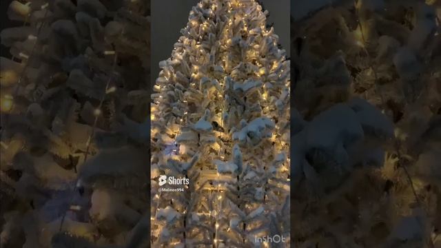 Охраняем новогоднюю красавицу)