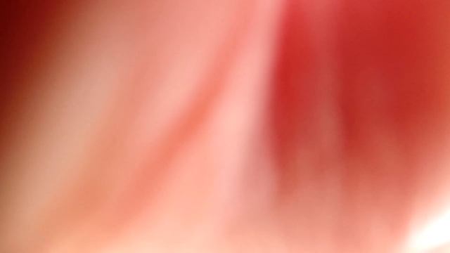 это видео, разговор, поясняющее, разговорная, дальнейшие планы.